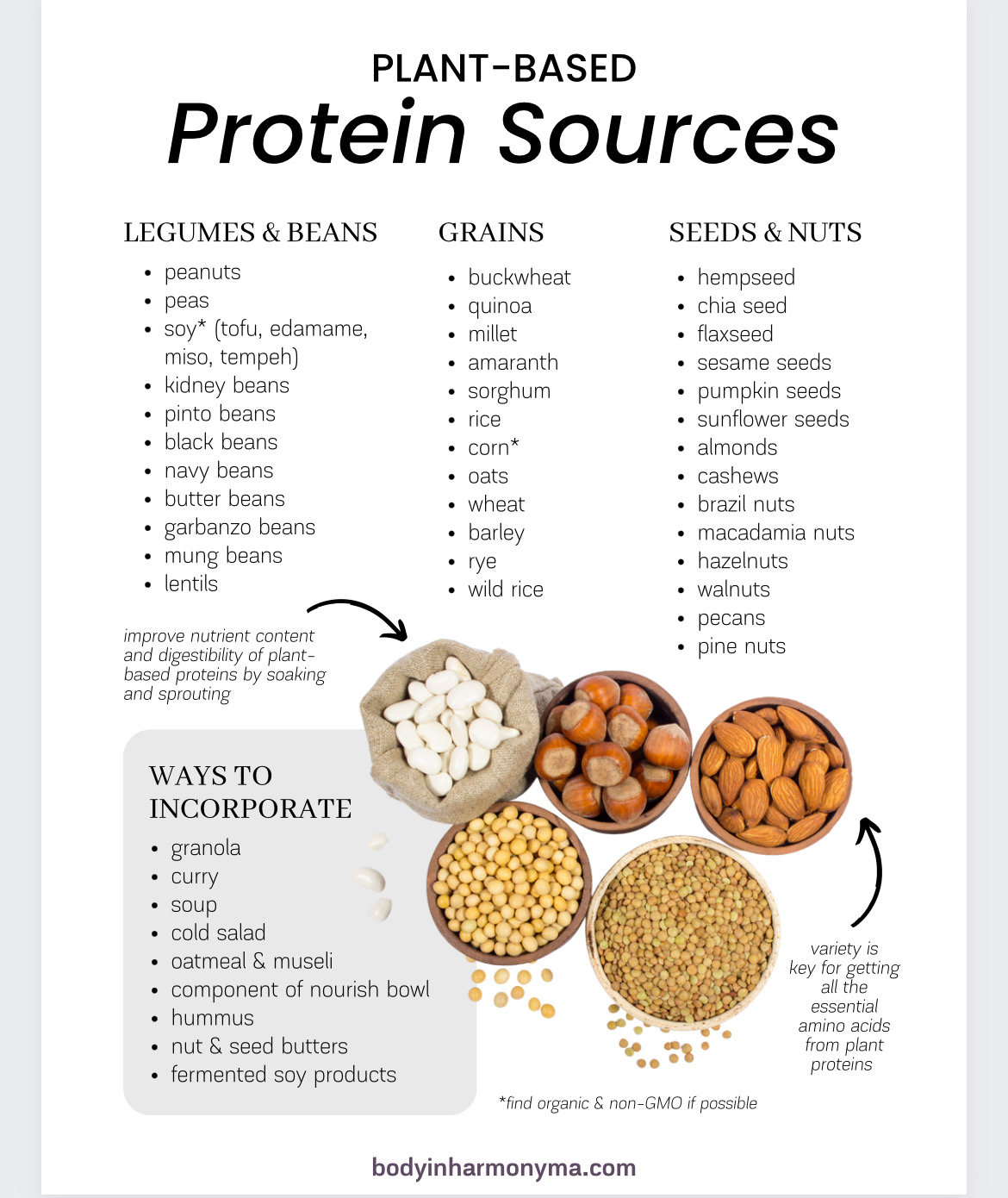 Practical Protein Guide - Etsy