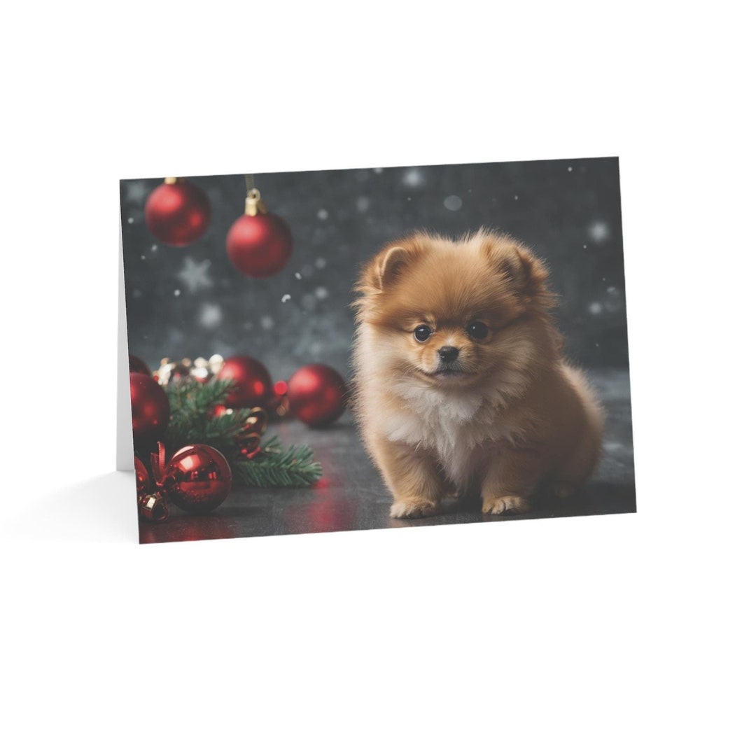 1-ct Orange Sable Pomeranian Greeting Card 7"x5" (1 Pc) - Welcome the ...