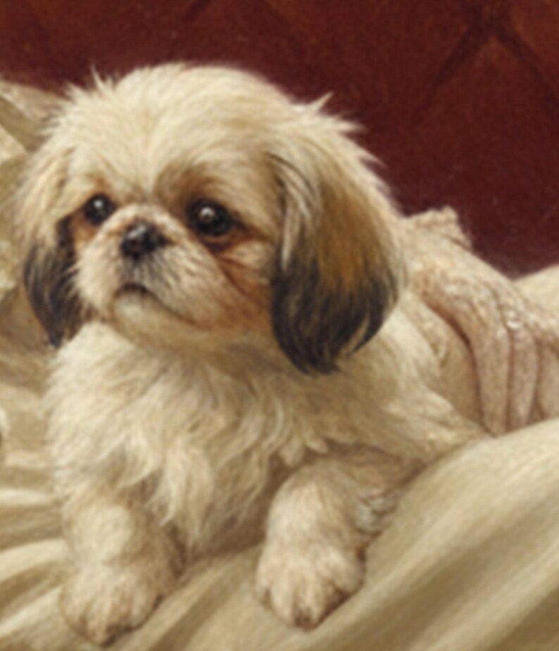 Victorian White Cream Pekingese Dog Puzzle (1014-pieces), Romantic ...