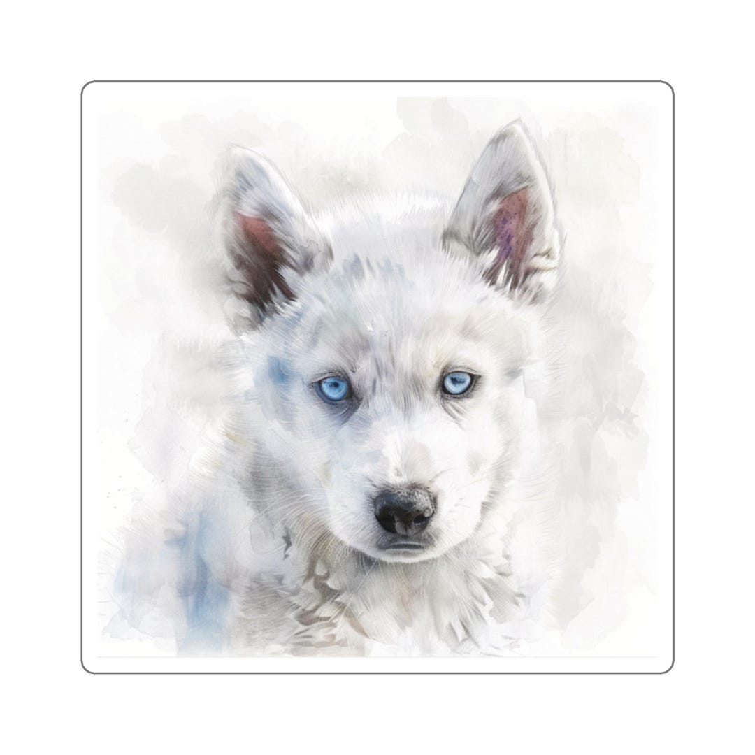 Arctic White Siberian Husky Square Sticker | Blue-eyed Siberian Husky ...