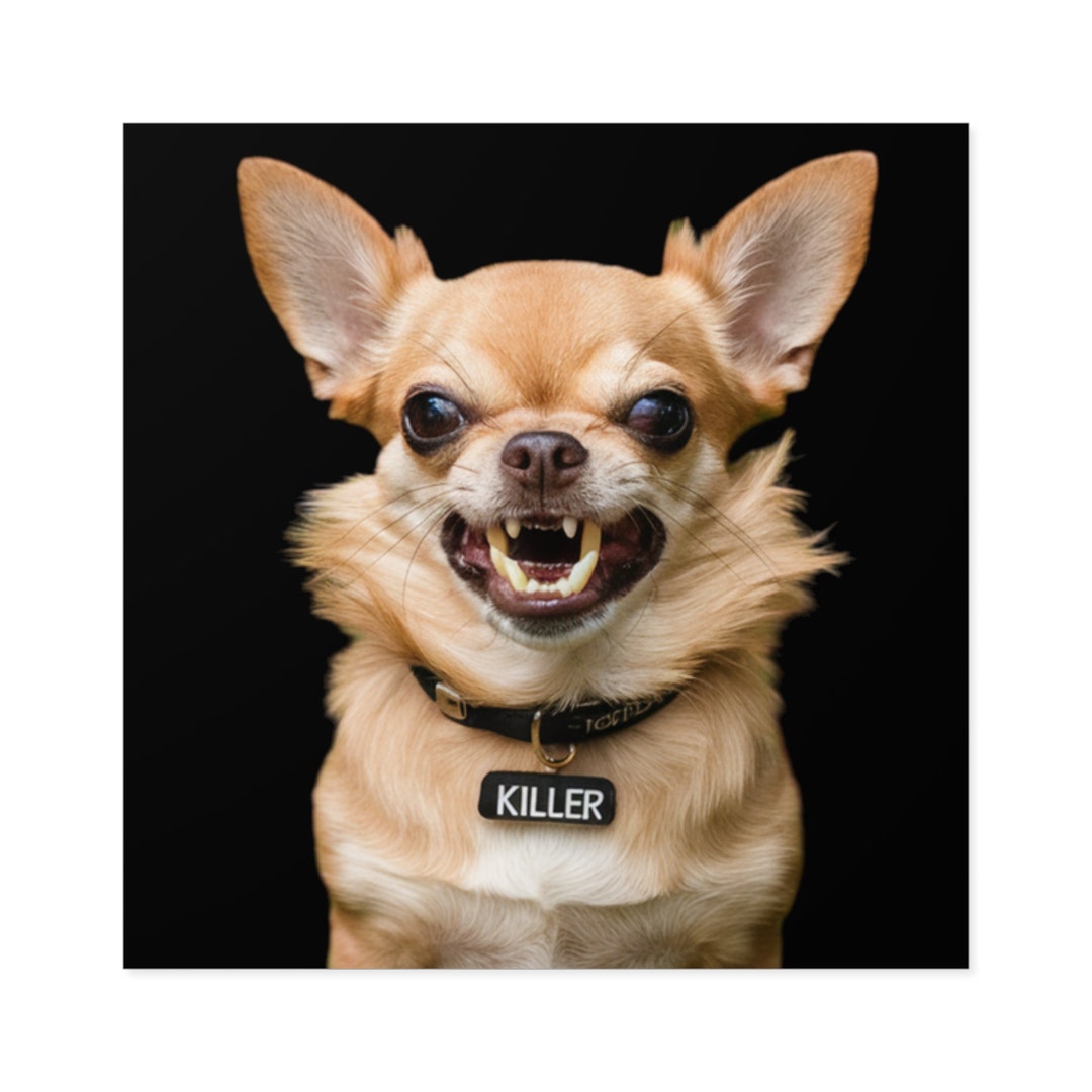 Angry Dog Chihuahua Sticker ==> Square Sticker Indoor\outdoor (optional ...