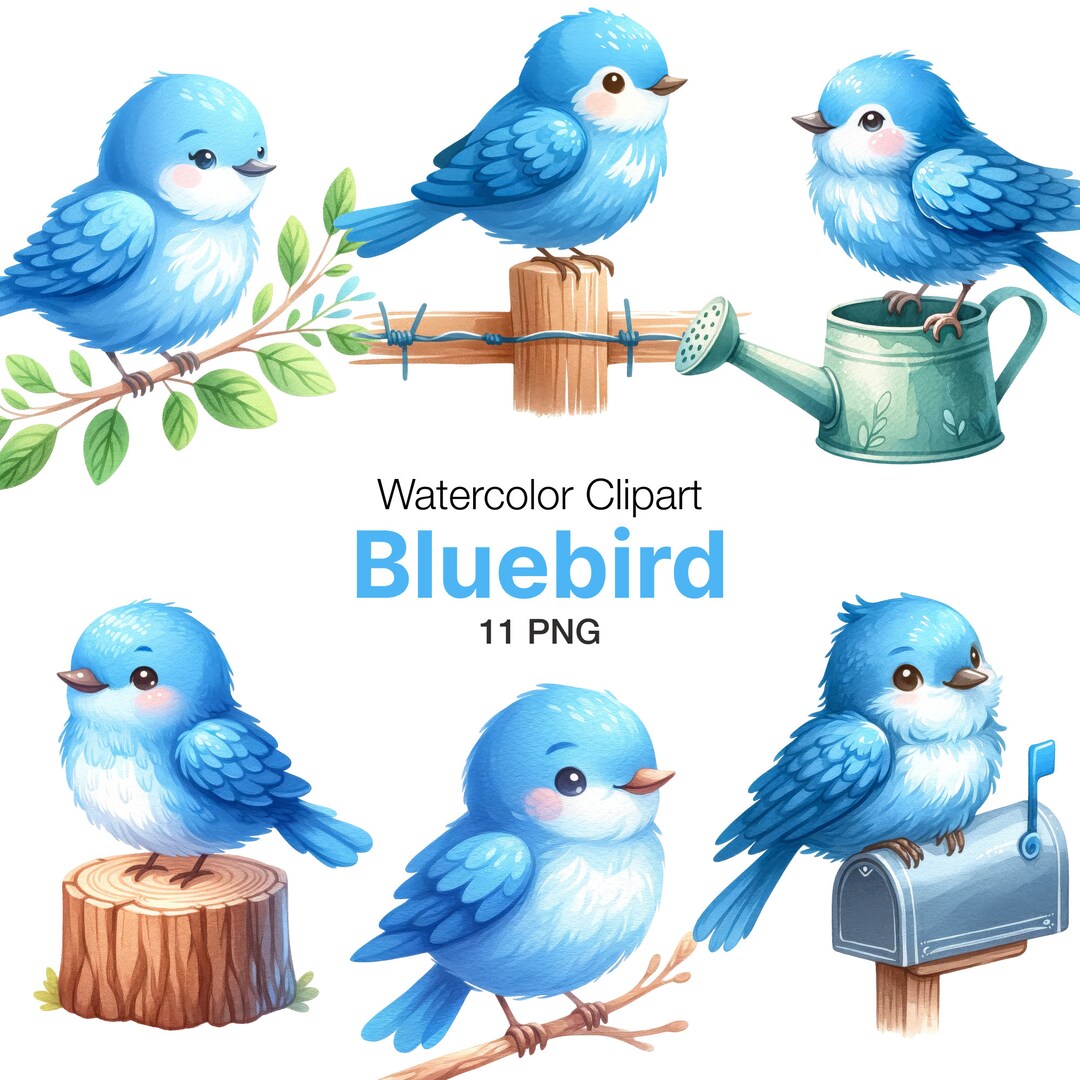 Bird Watercolor Clipart, Bluebirds Decor, Birds Wall Art, Birds on ...