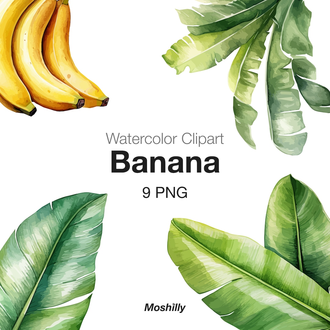 Banana, Watercolor Banana Clipart - Etsy