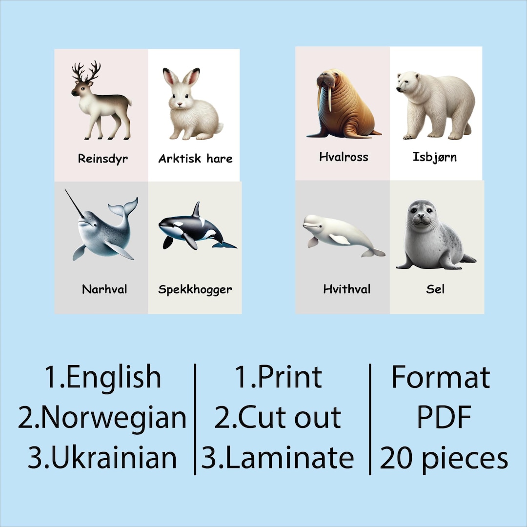 Educational Arctic Animal Flashcards for Kids | Interactive Learning ...