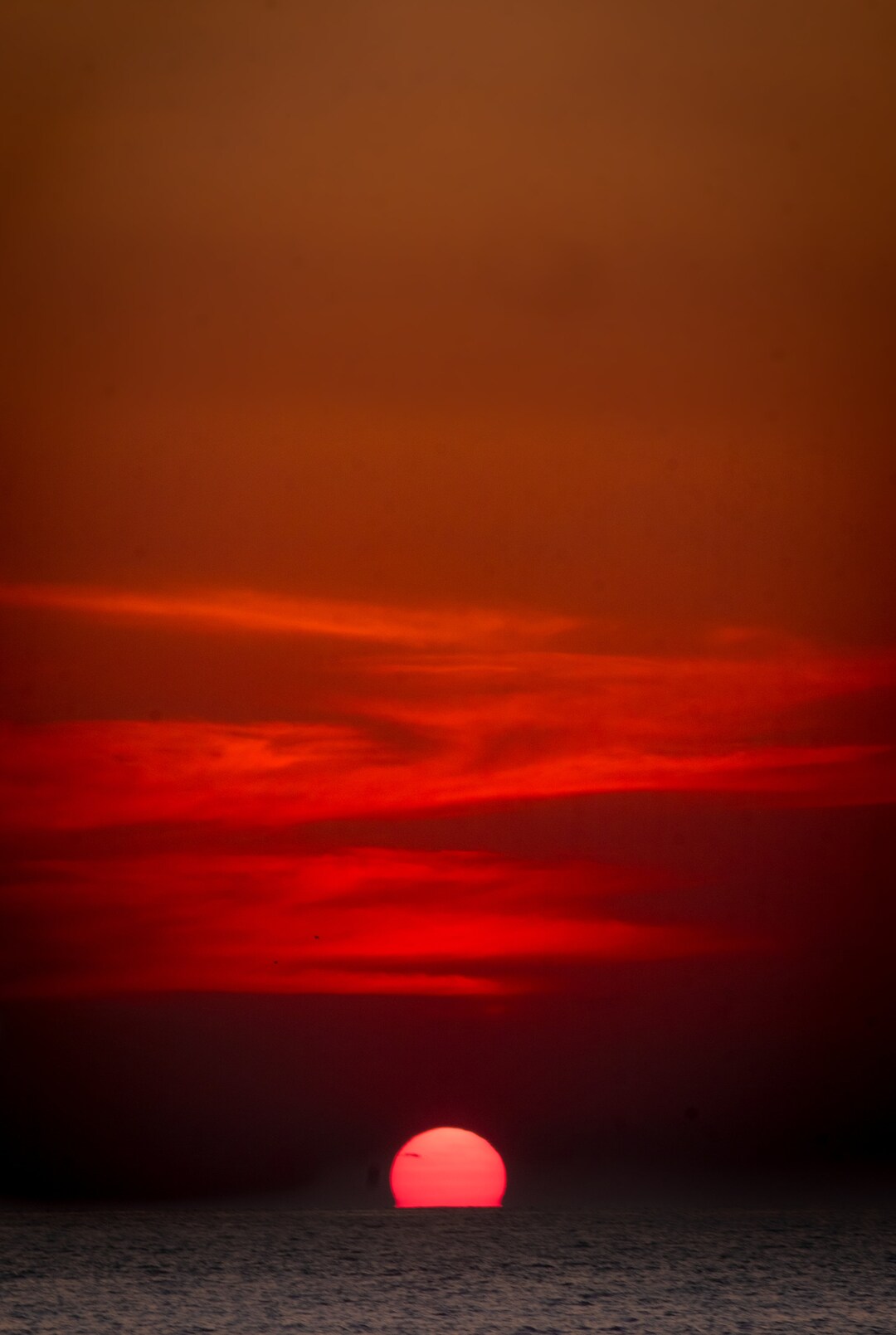 Red Sun Rays - Etsy