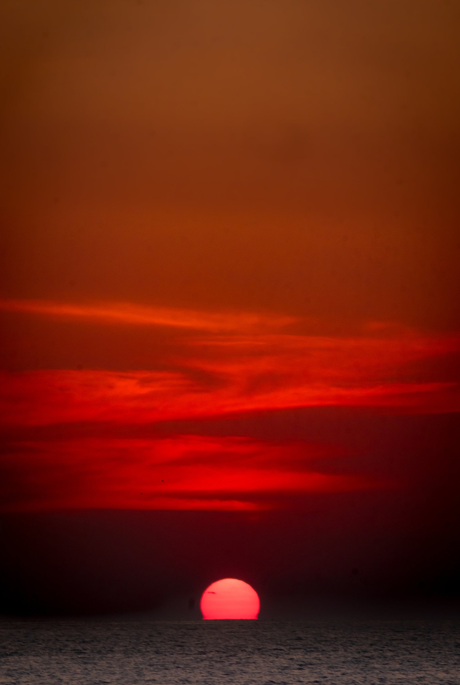 Red Sun Rays - Etsy