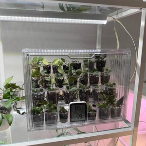 Humidity Propagation Box | Self Watering | Hoya | Acrylic | Nursery ...