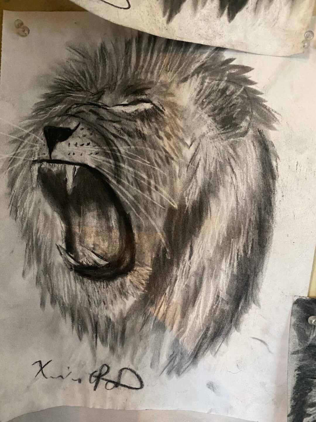 Lion Roaring Drawing by Xaviera Porter - Etsy