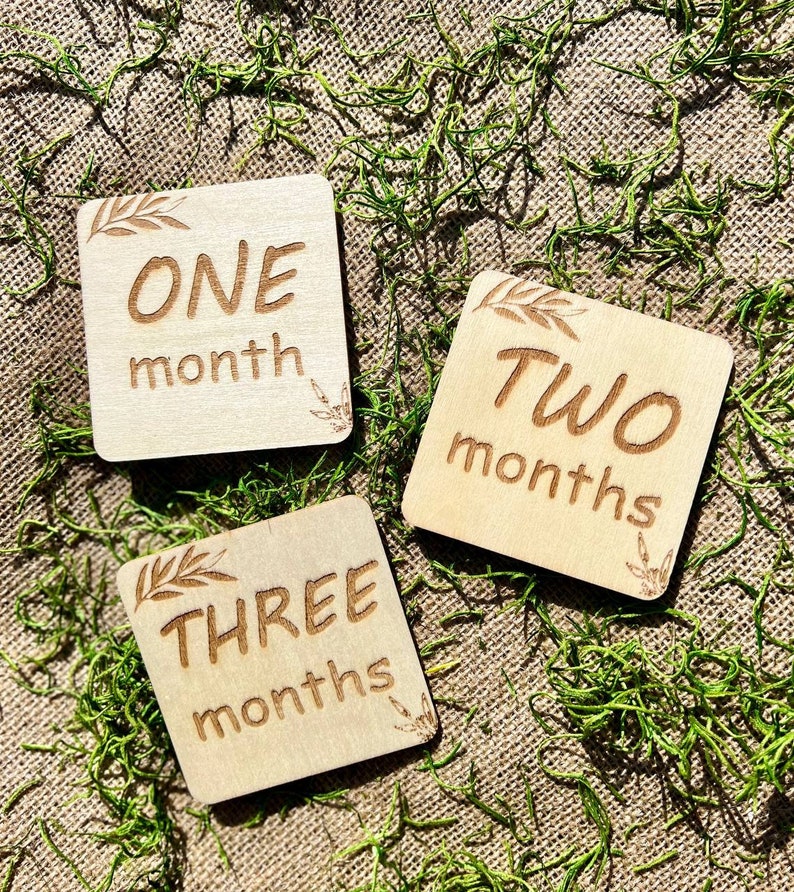 Wooden Laser Engraved Monthly Milestone Set for Baby Photos Monthly ...