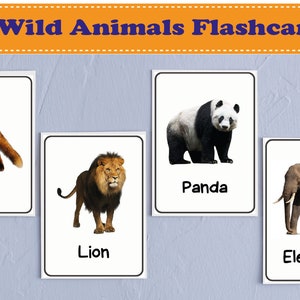 Wild Animals (real Pictures) Flash Cards, 16 Editable Montessori Cards ...
