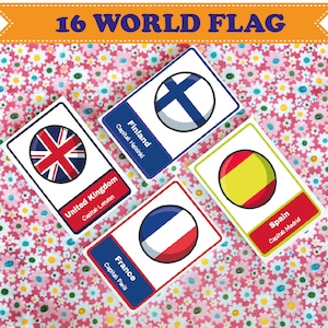 16 World Country Flags Flash Cards, Flags of Nations Pdf Instant ...