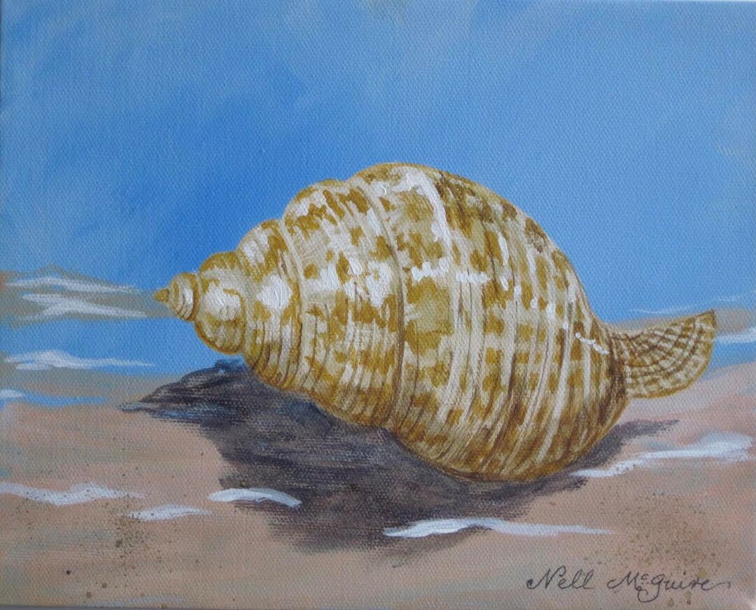 Banded Tulip Shell / Acrylic Art Print Series Seashells Sanibel Captiva ...