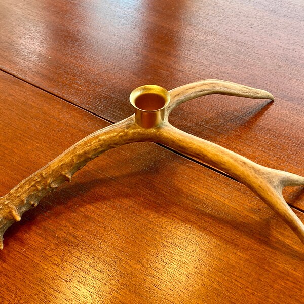 Antler Candle Holder - Etsy