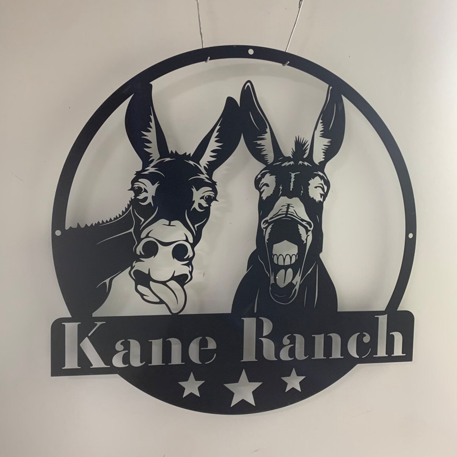 Custom Funny Donkey Metal Farm Sign, Personalized Donkey Farm Decor ...
