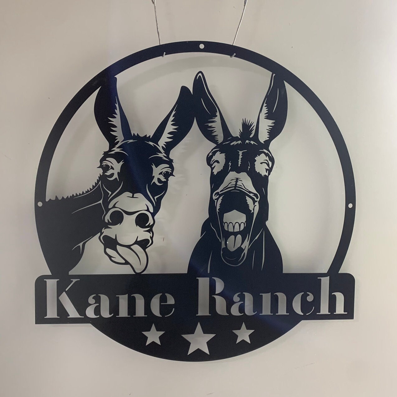 Custom Funny Donkey Metal Farm Sign, Personalized Donkey Farm Decor ...