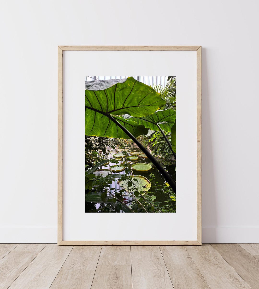 Tropical Big Leaf Photograph - Botanical Photography - Lily Pad Pond ...