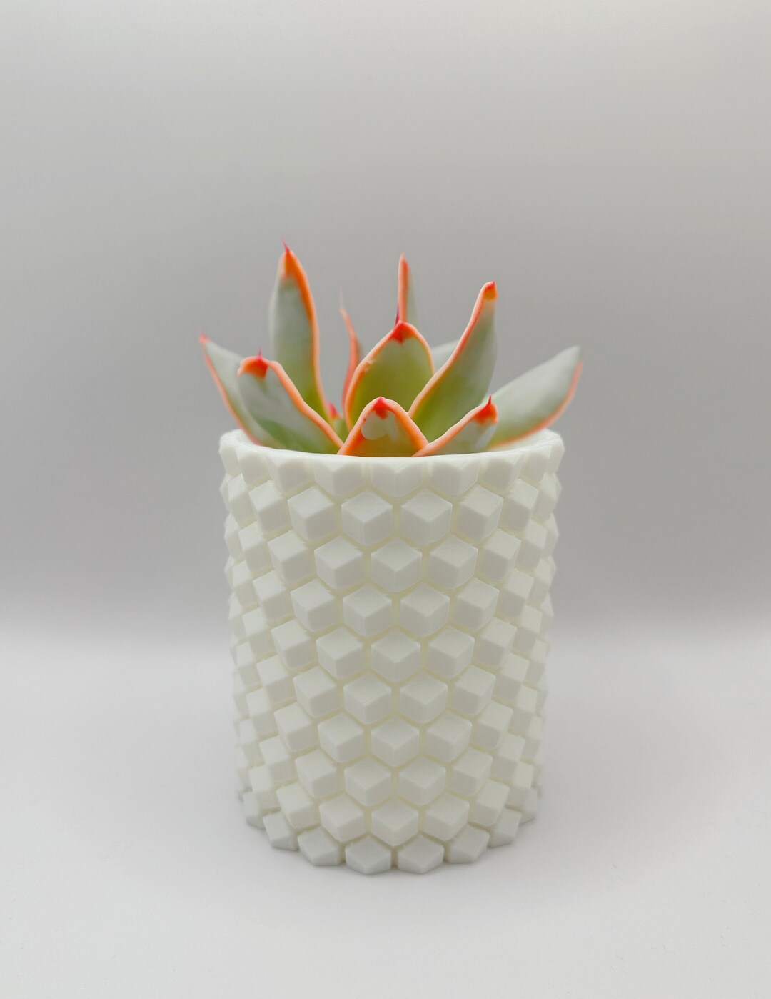 3D Printed Honeycomb Succulent Planter - Etsy