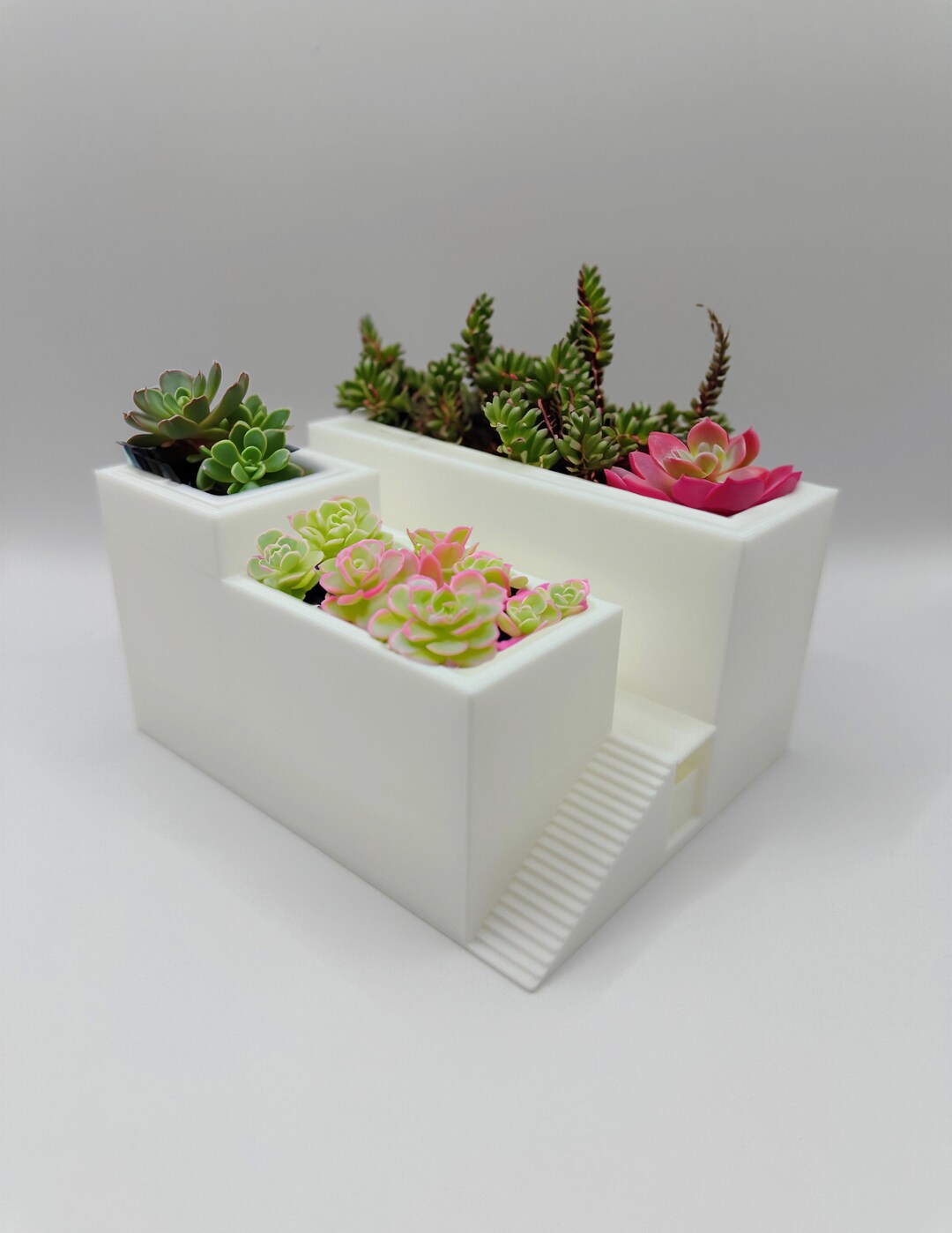 3D Printed Tiered Succulent Planter - Etsy