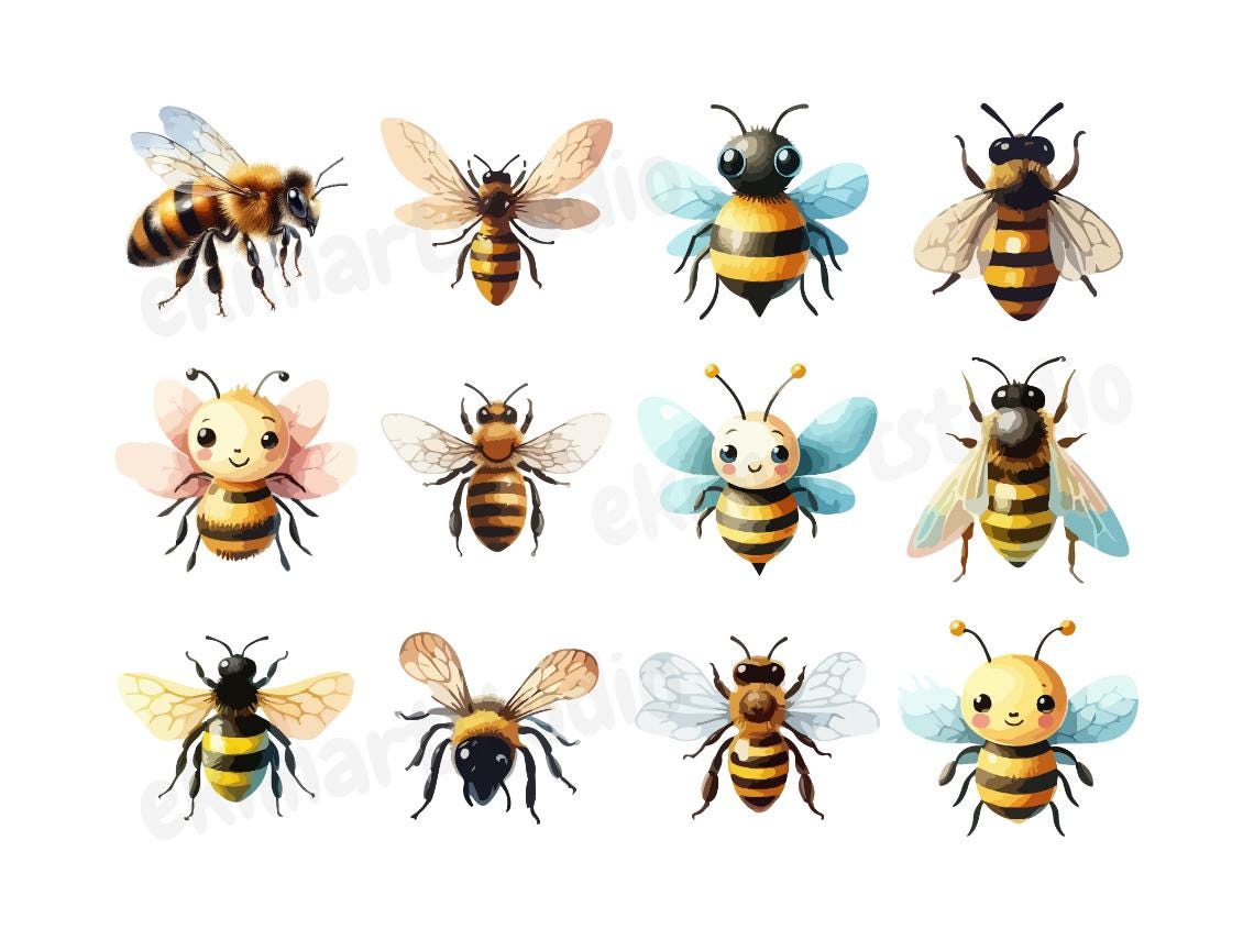 Bee Watercolor Clipart | Bee Clipart | PNG Bundle | Cute Animal ...