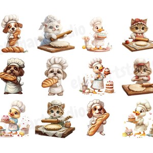 Chef Animals Clipart | Cute Animals PNG | PNG Bundle | Cute Chef ...