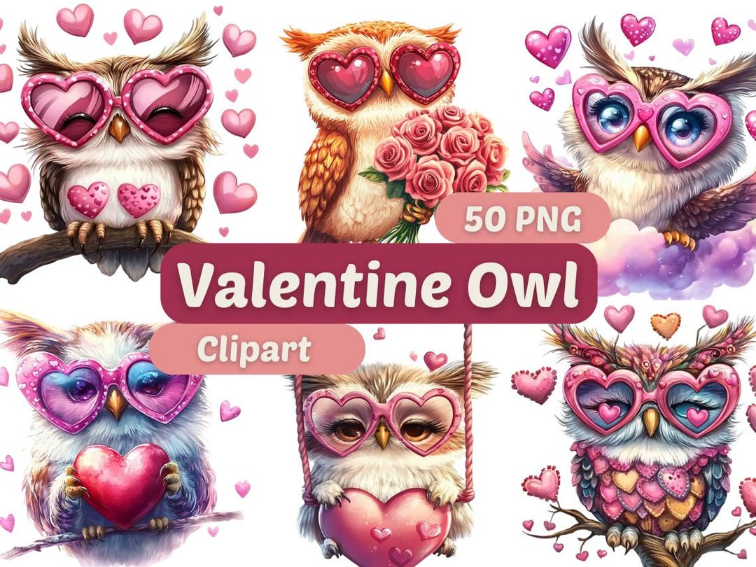 Valentine Owl Clipart | Cute Owl PNG | PNG Bundle | Cute Owl | Funny ...