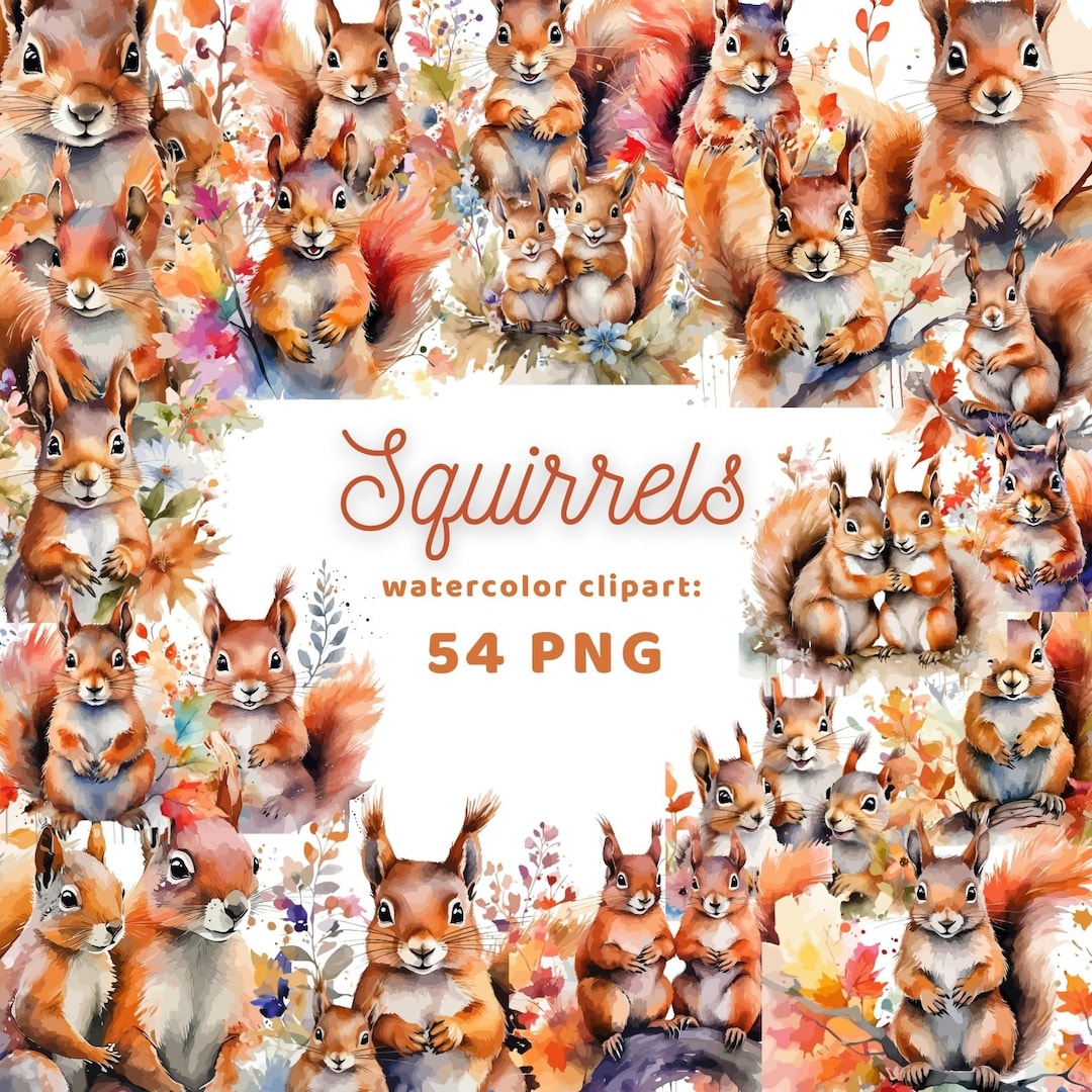 Squirrels Watercolor Clipart Sticker PNG Bundle Digital Download ...