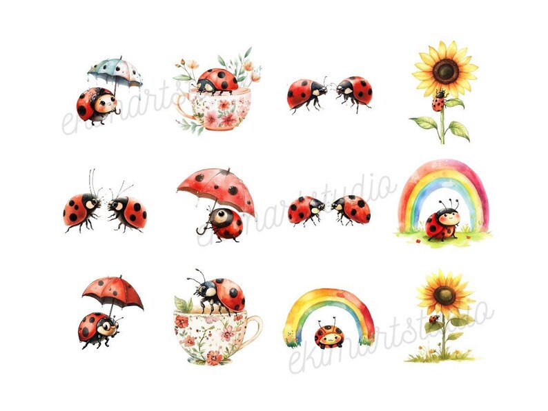 Ladybug Watercolor Clipart | Sticker | PNG Bundle | Animal Clipart ...