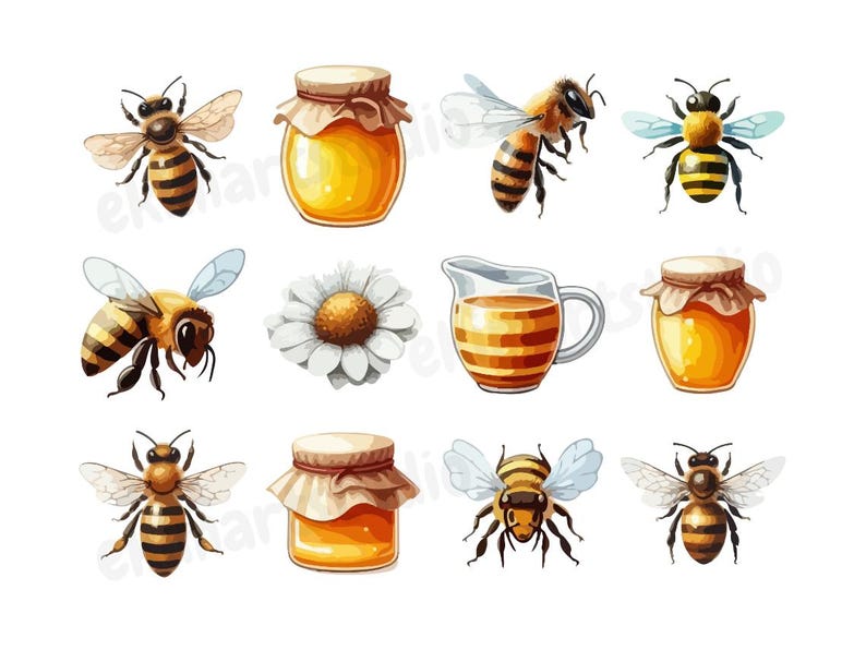 Bee Watercolor Clipart | Bee Clipart | PNG Bundle | Cute Animal ...