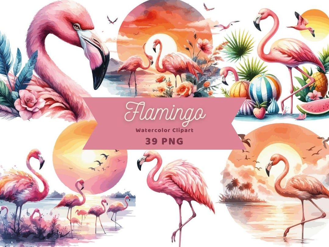 Flamingo Watercolor Clipart | Sticker | PNG Bundle | Digital Download ...