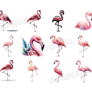 Flamingo Watercolor Clipart | Sticker | PNG Bundle | Digital Download ...