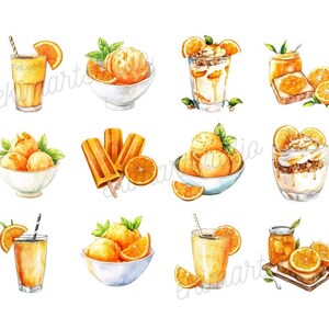 Orange Fruits Watercolor Clipart | Food Sticker | PNG Bundle | Digital ...