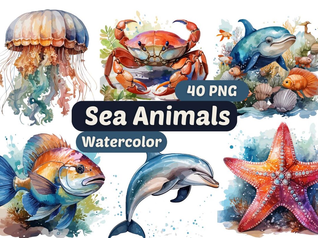 Sea Animals Watercolor Clipart | Sticker | PNG Bundle | Digital ...