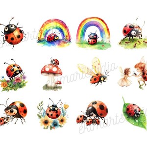 Ladybug Watercolor Clipart | Sticker | PNG Bundle | Animal Clipart ...