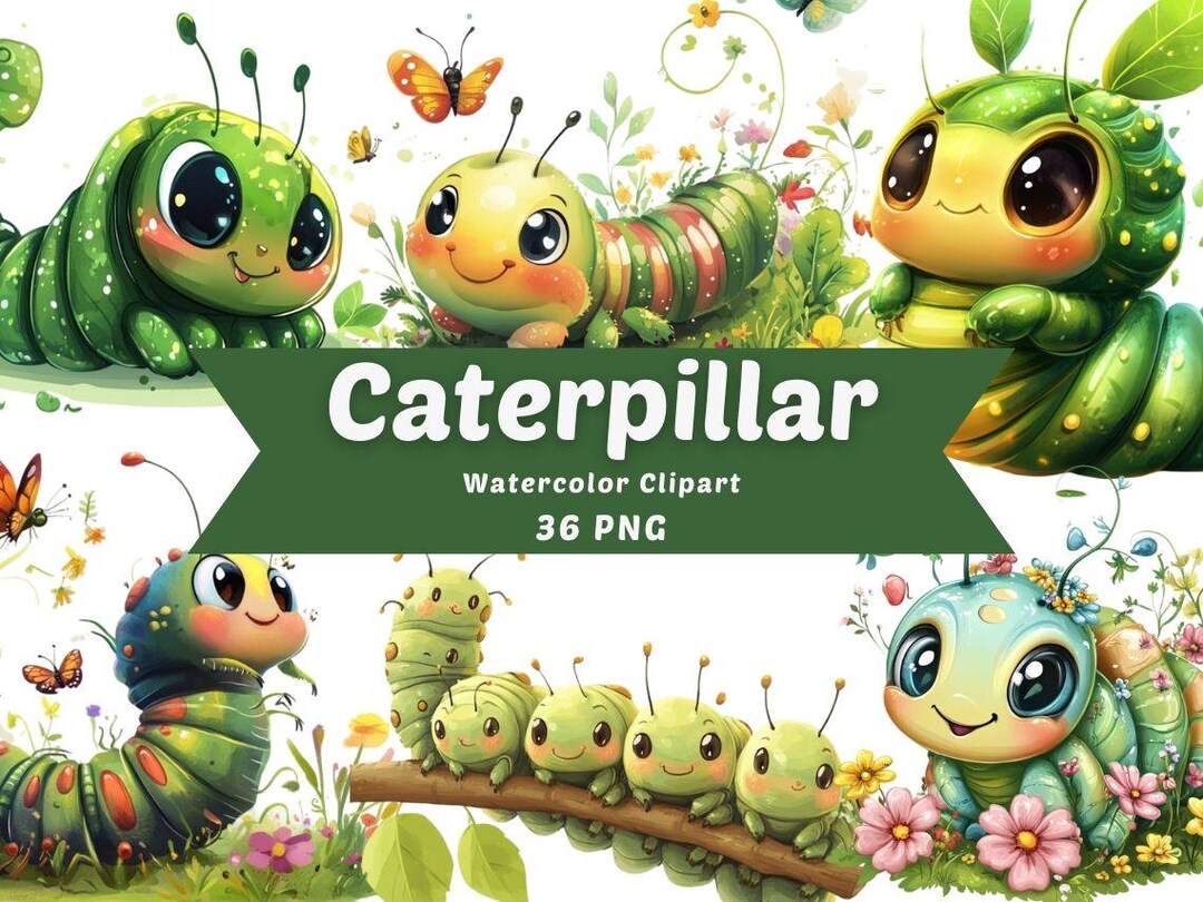 Caterpillar Watercolor Clipart | PNG Bundle | Animal Clipart | Digital ...