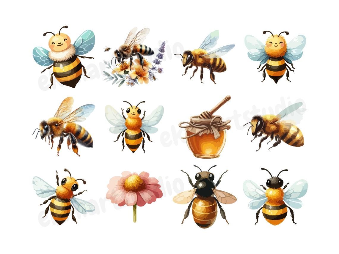 Bee Watercolor Clipart | Bee Clipart | PNG Bundle | Cute Animal ...