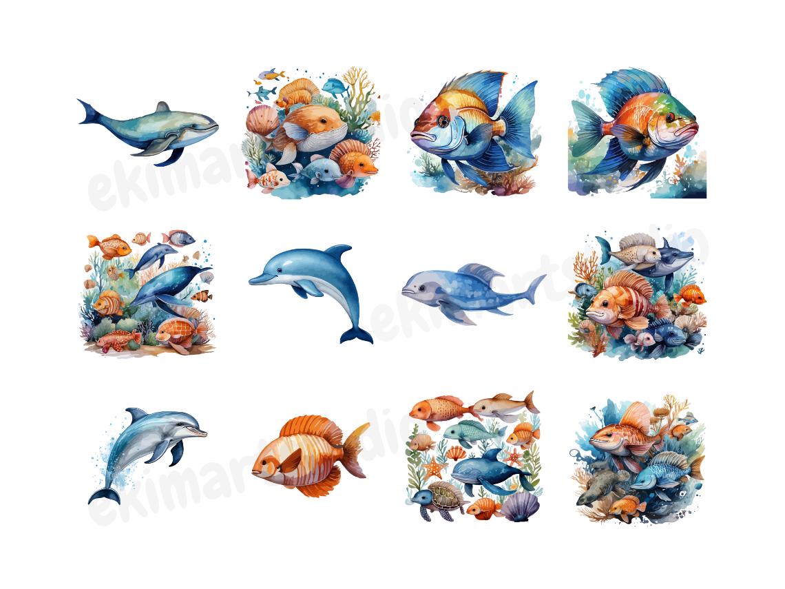 Sea Animals Watercolor Clipart | Sticker | PNG Bundle | Digital ...