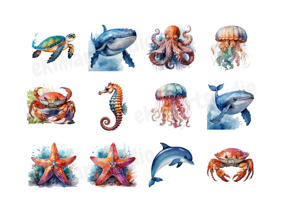 Sea Animals Watercolor Clipart | Sticker | PNG Bundle | Digital ...