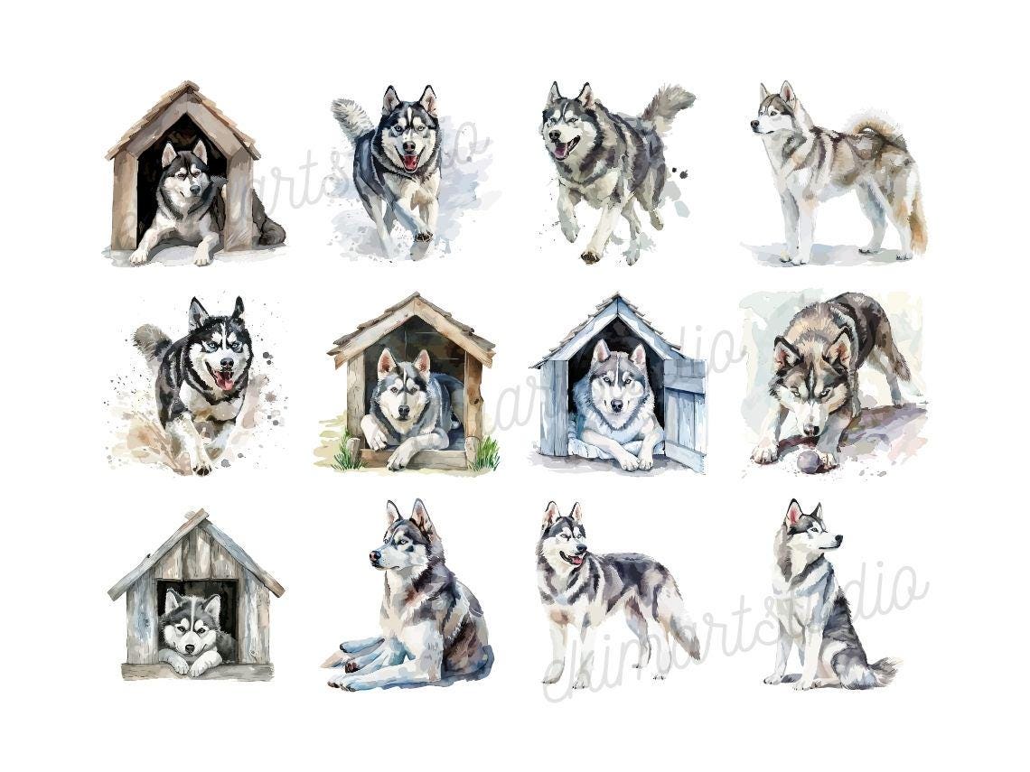 Dogs Clipart Bundle PNG Watercolor Clipart | Animal PNG | PNG Bundle ...