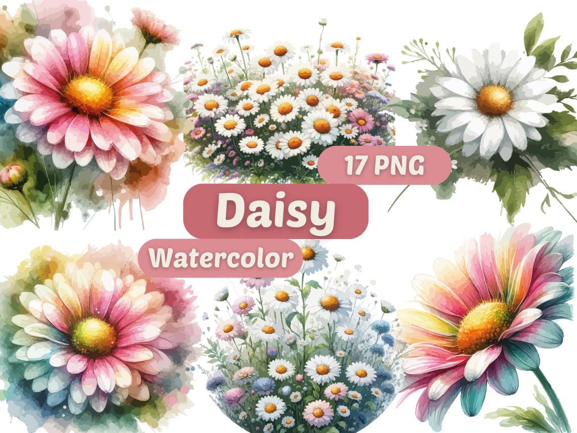 Daisy Watercolor Clipart | Flower Digital Art | PNG Bundle | Daisy ...