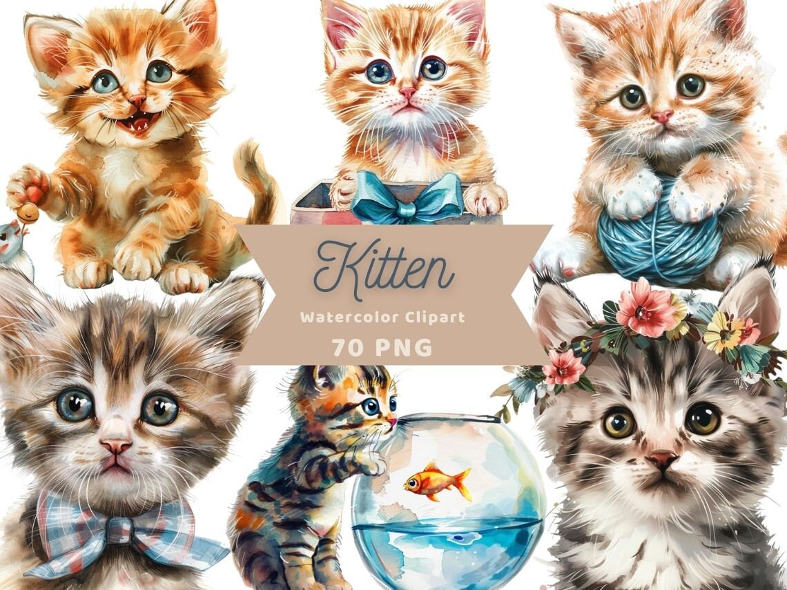 Kitten Watercolor Clipart Cat PNG Sticker PNG Bundle Digital Download ...