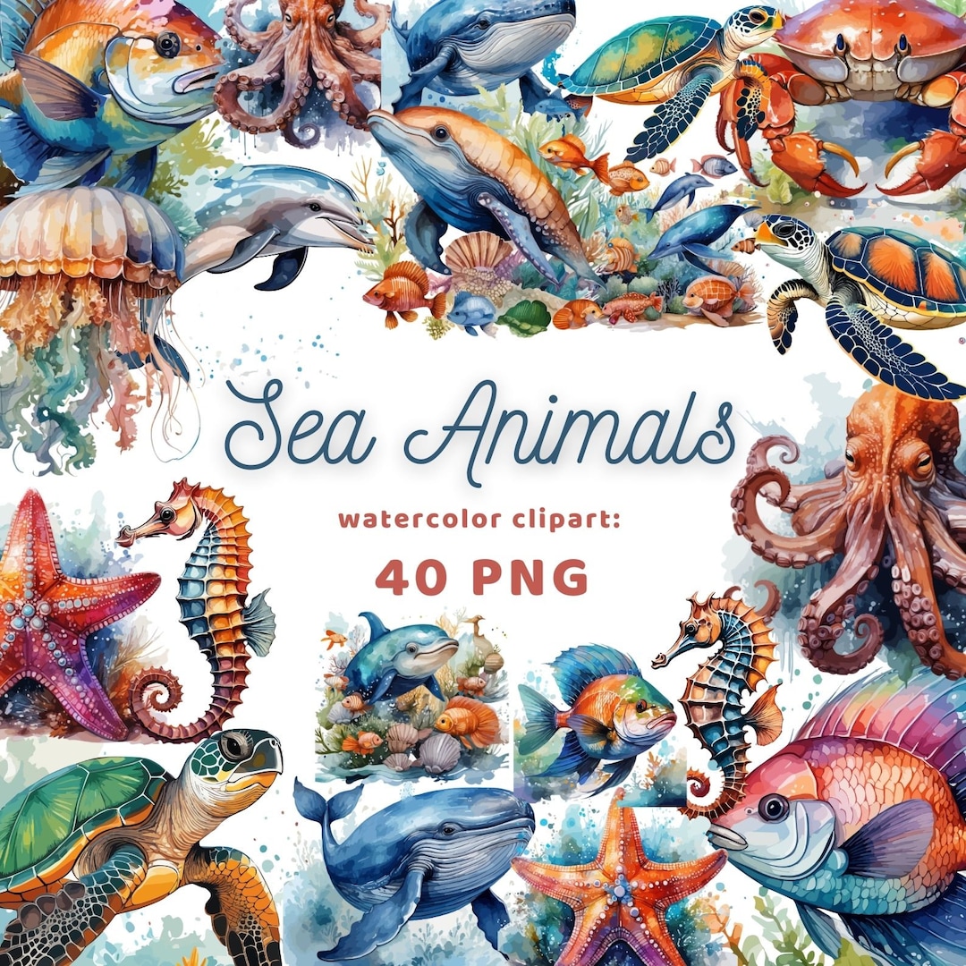 Sea Animals Watercolor Clipart Sticker PNG Bundle Digital Download ...
