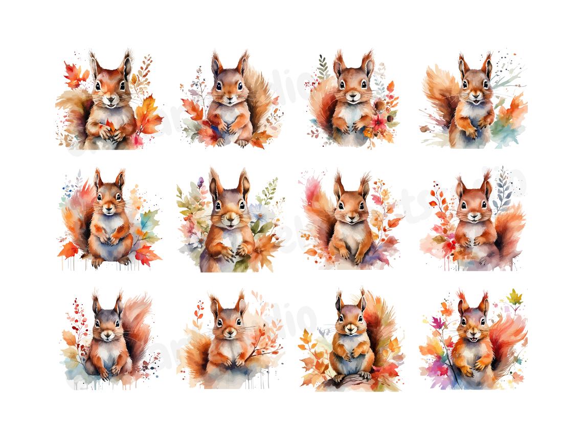 Squirrels Watercolor Clipart | Squirrels Clipart | PNG Bundle | Cute ...