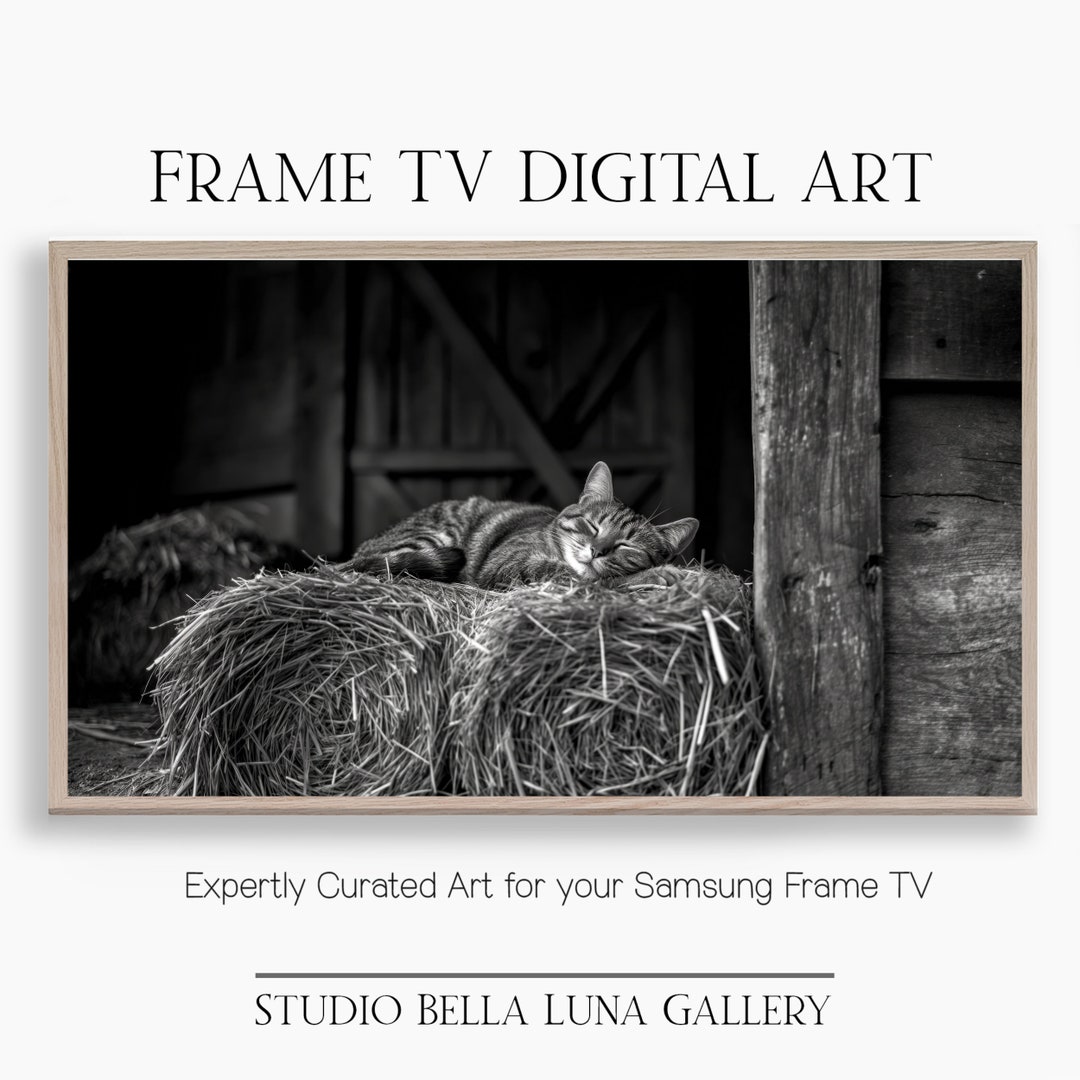 Samsung Frame TV Cat Gallery, Modern Farmhouse Frame TV Digital Art ...