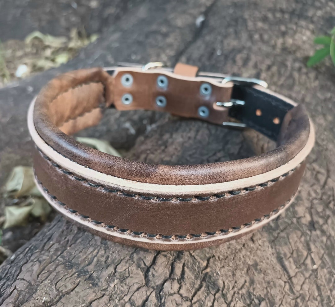 Real Leather Collar Hand Stitched Dog Collar Padded Collar Medium and ...