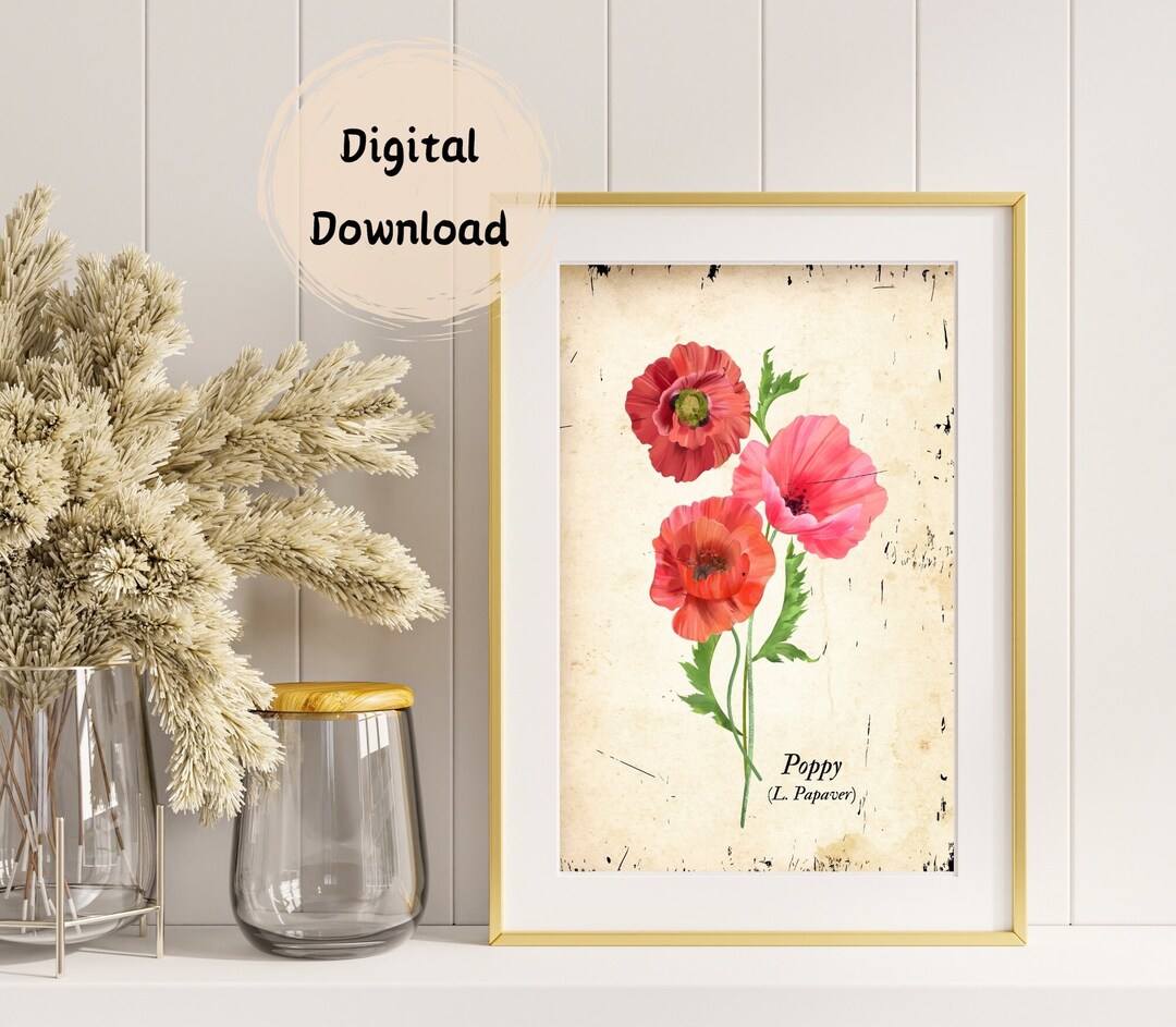 Poppy Poster, Maki, Digital Download, Wall Art.remember, Home Decor ...
