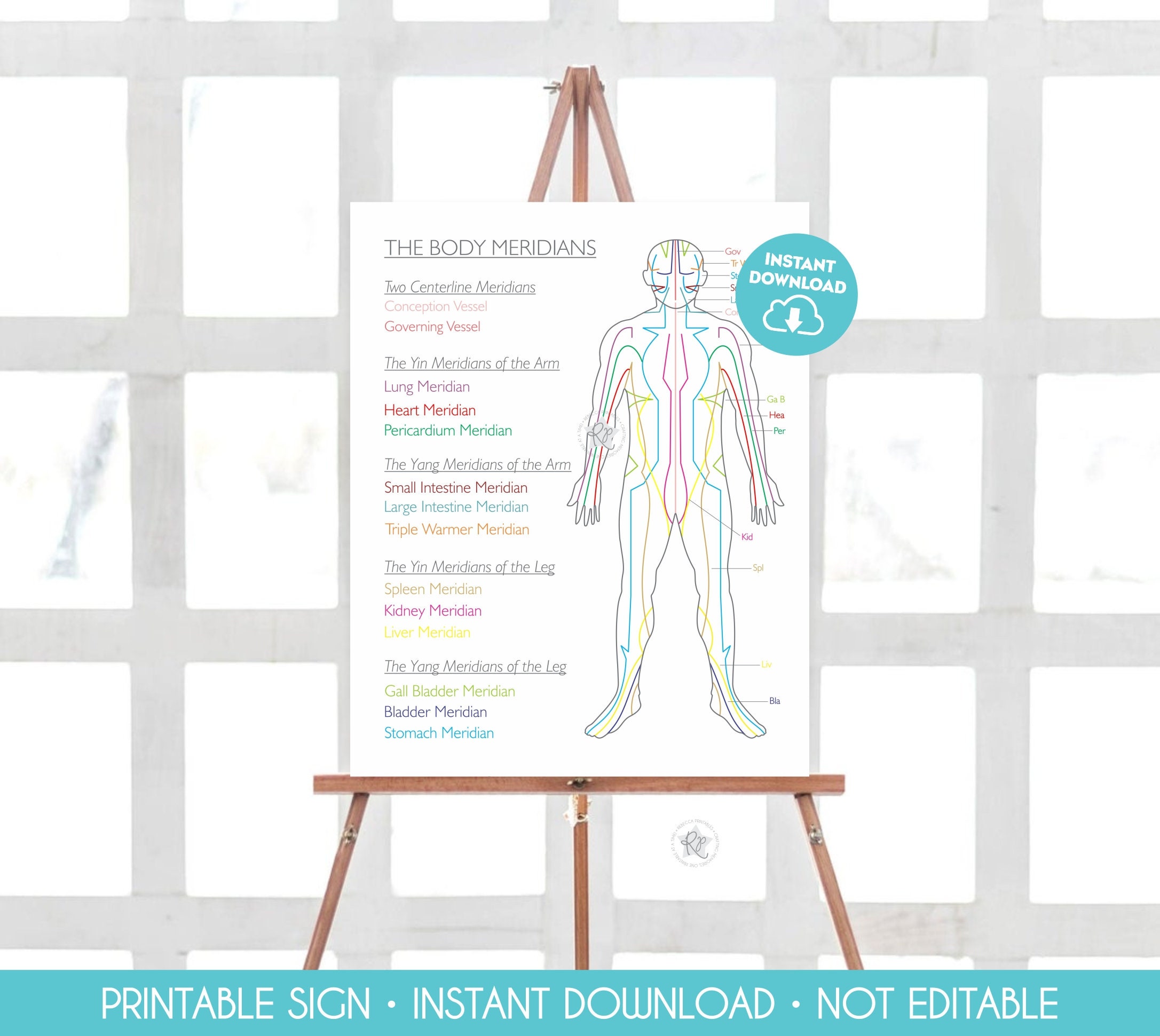 The Body Meridians Printable Poster Acupuncture Chart the 12 Meridians ...