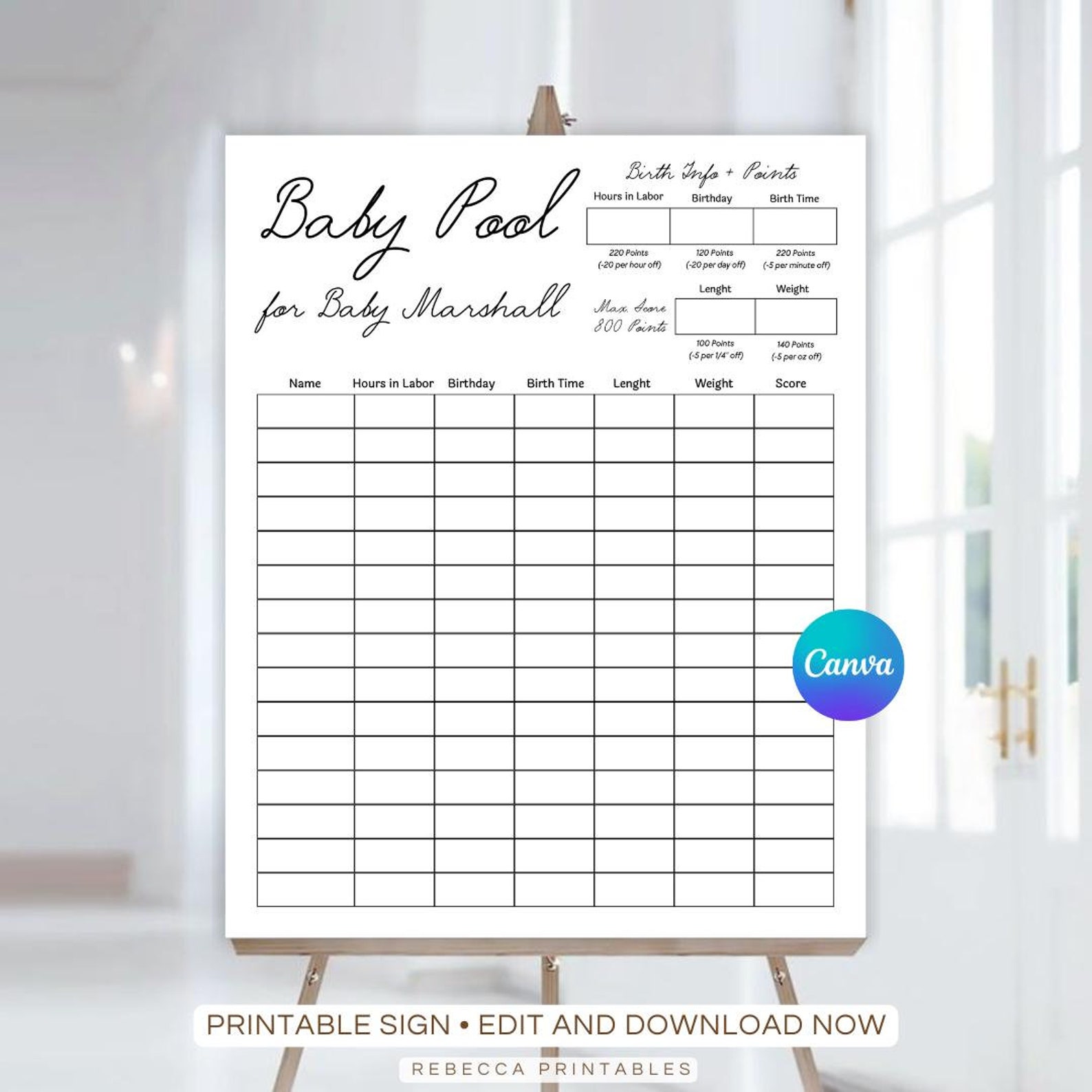 Baby Pool Game Baby Shower Printable Baby Predictions Game Editable ...