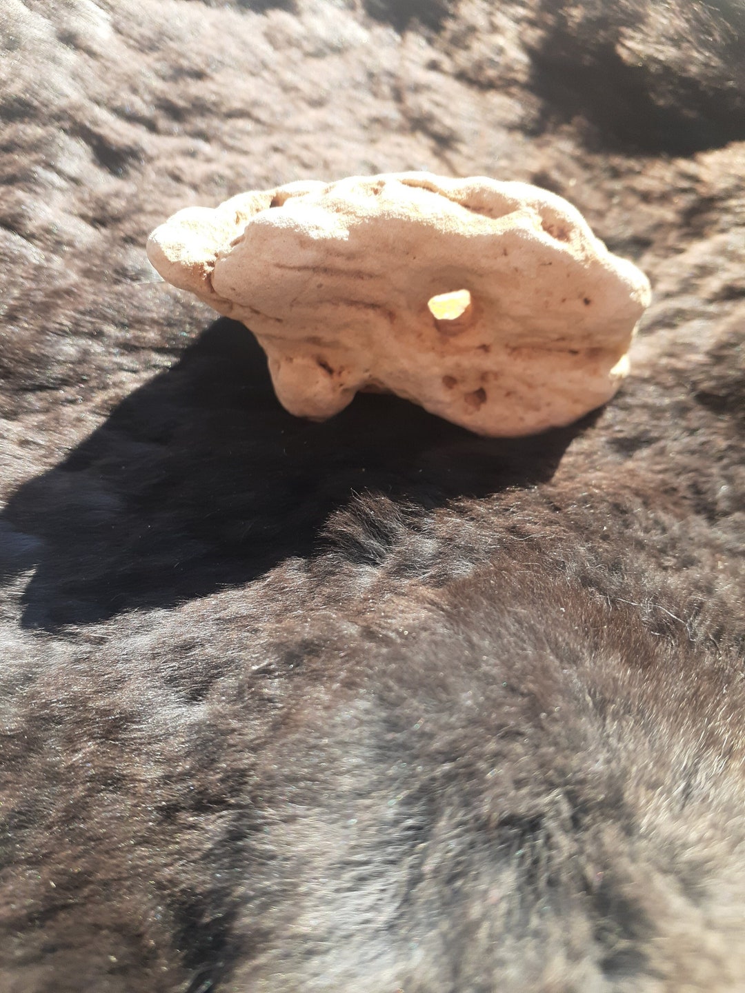 Foraged Hag Stone: Metaphysical Portal to Protection and Insight - Etsy