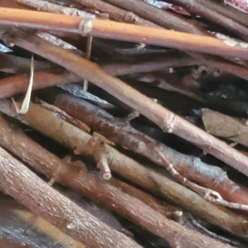 Wood Branches - Etsy