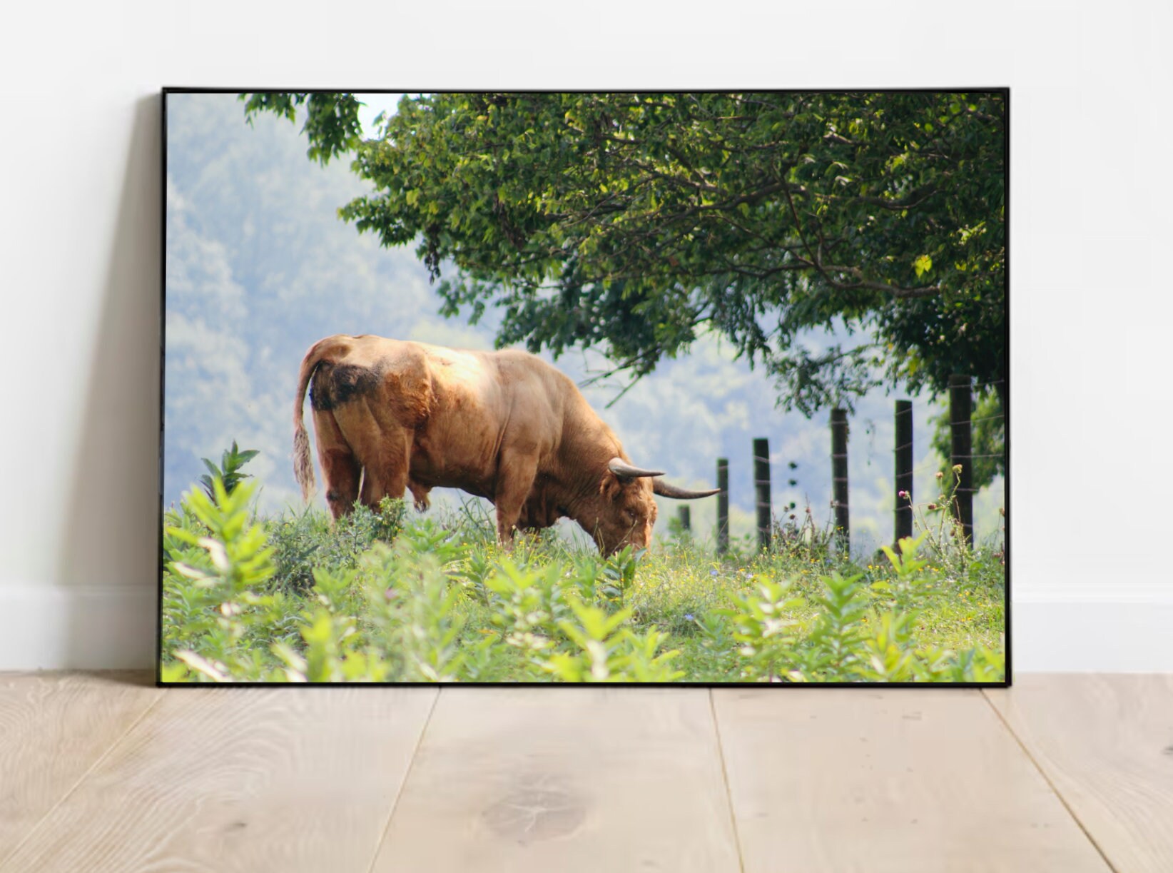 Cow Print Printable Photo Digital Photography Instant Download Farm ...